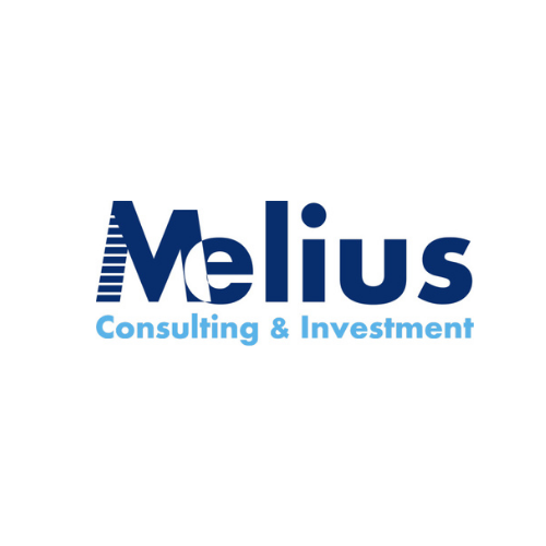 MELIUS CONSULTING & INVESTMENT